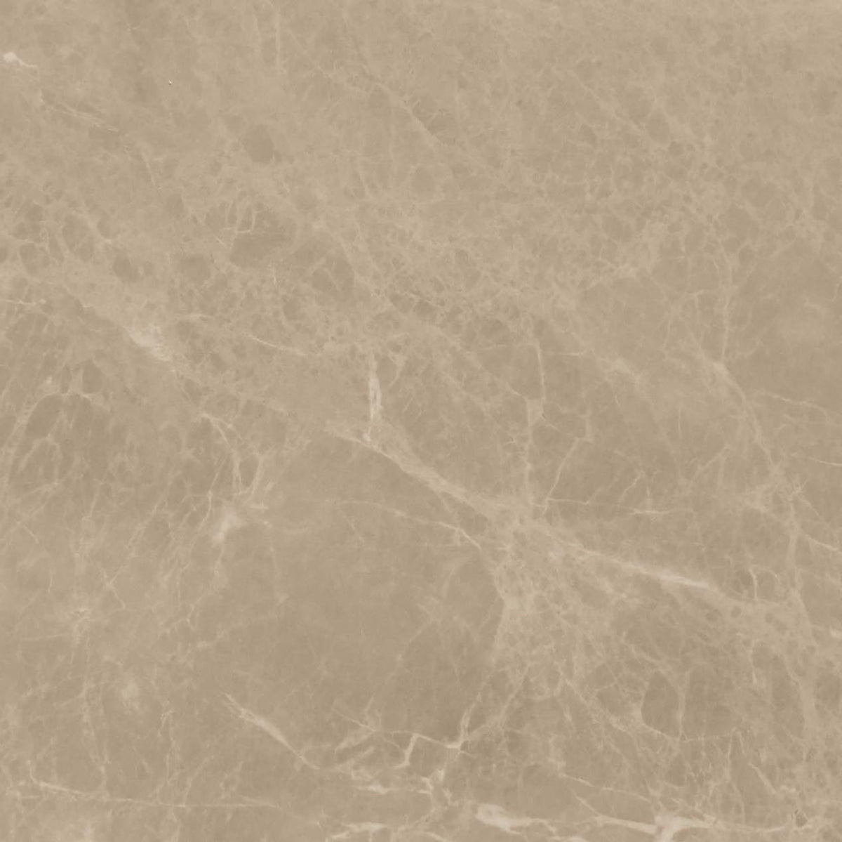 Porcelanato - Marvel Edge Elegant Sable - Arca – Grupo Arca