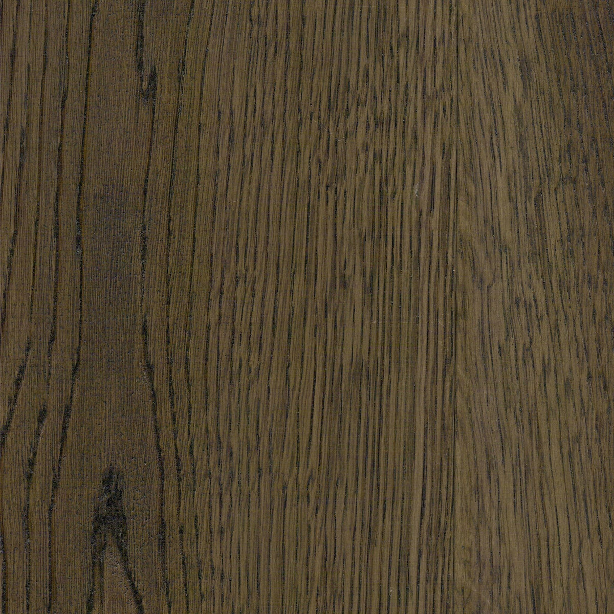 Roble - Oak Olive - Arca – Grupo Arca